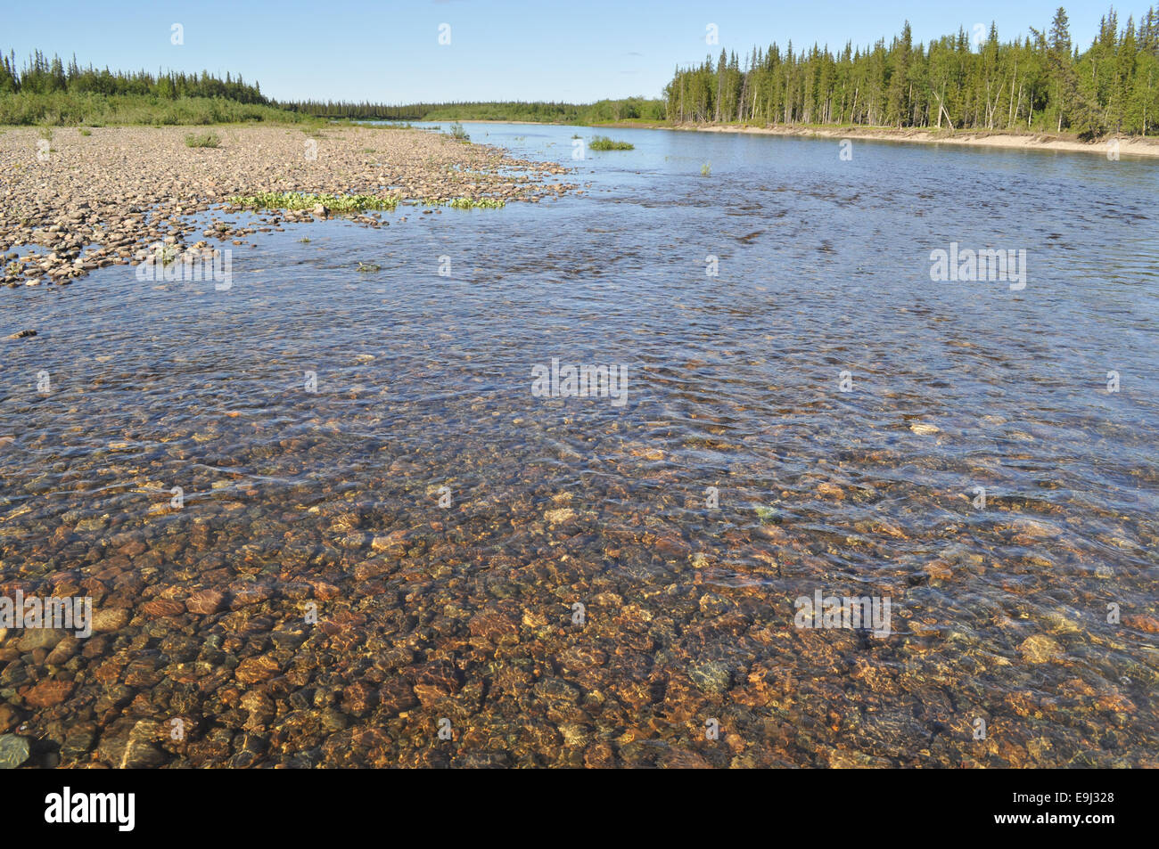 Wilderness river bed hi-res stock photography and images - Alamy