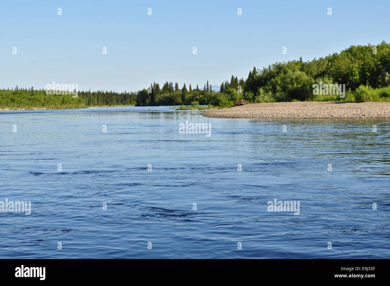 Coast Northern boreal river. River Polar Urals on a Sunny summer day ...
