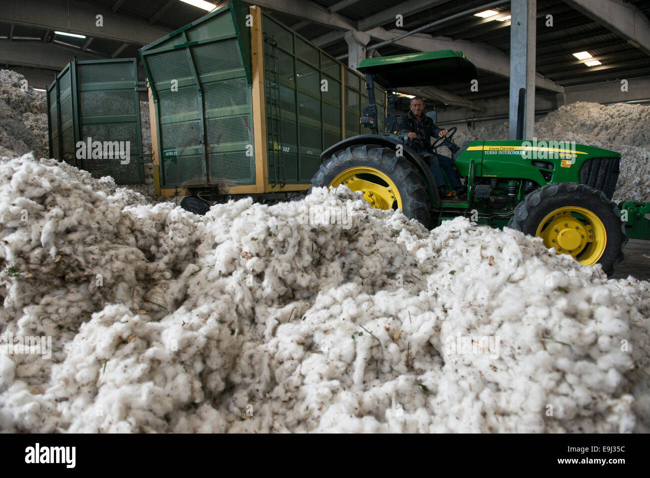 TURKEY, Menemen, ginning factory, processing of harvested conventional ...