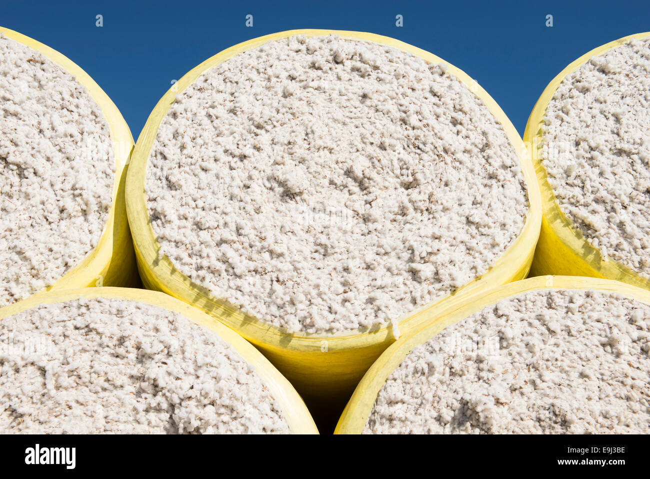 TURKEY, Kesik, near Menemen, Genel Pamuk ginning factory, harvested ...