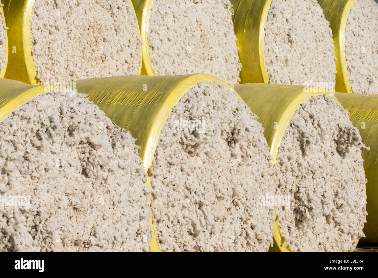 TURKEY, Kesik, near Menemen, Genel Pamuk ginning factory, harvested ...