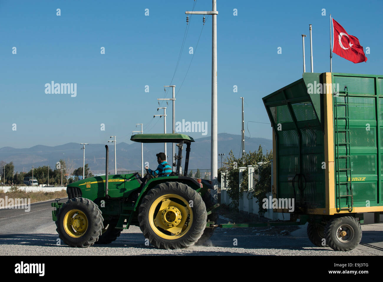 TURKEY, Menemen, ginning factory, processing of harvested conventional ...