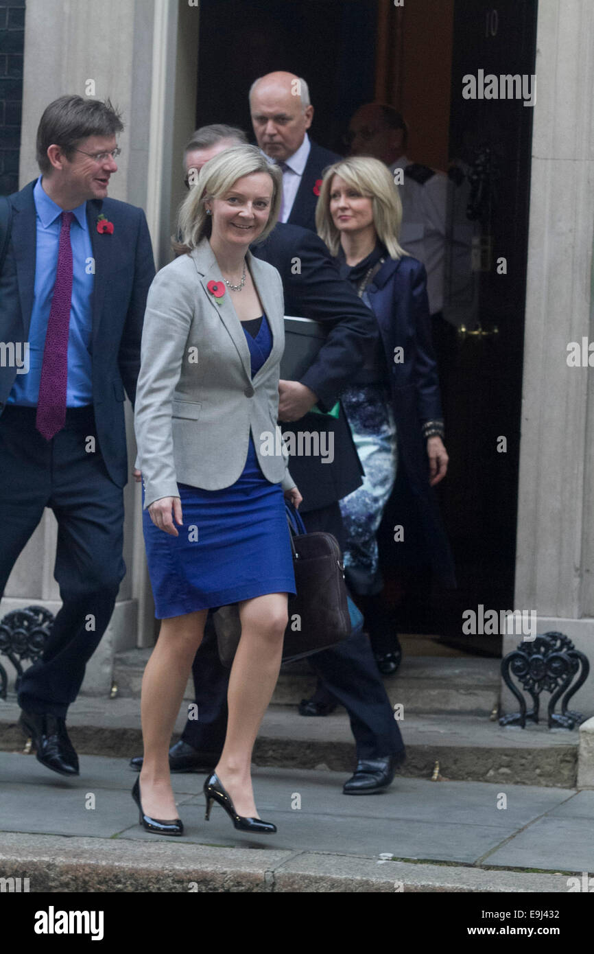 Westminster, London, UK. 28th October, 2014. secretary for (Defra ...