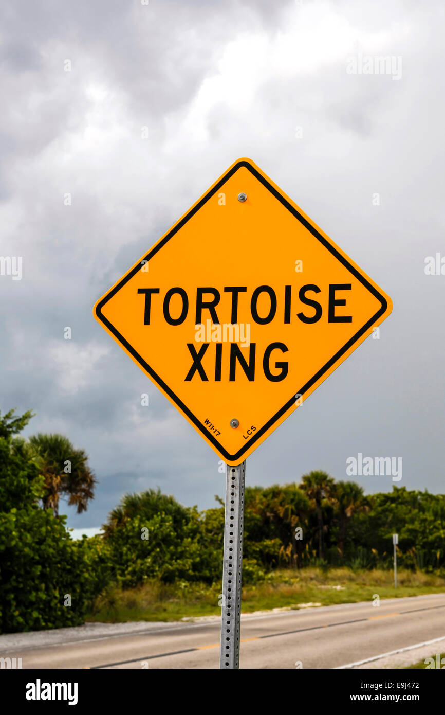 Tortoise warning road sign hi-res stock photography and images - Alamy