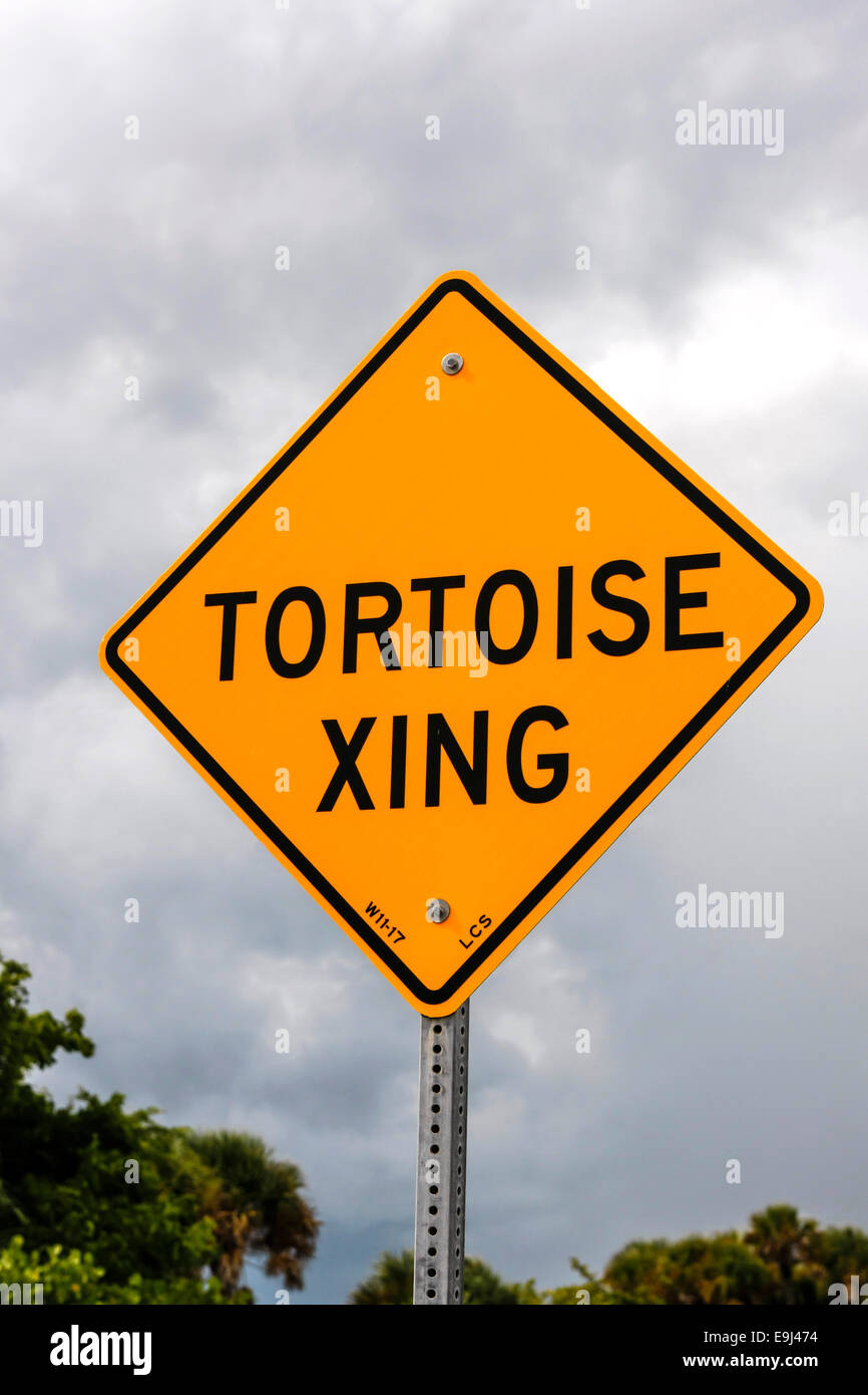 Tortoise warning sign hi-res stock photography and images - Alamy