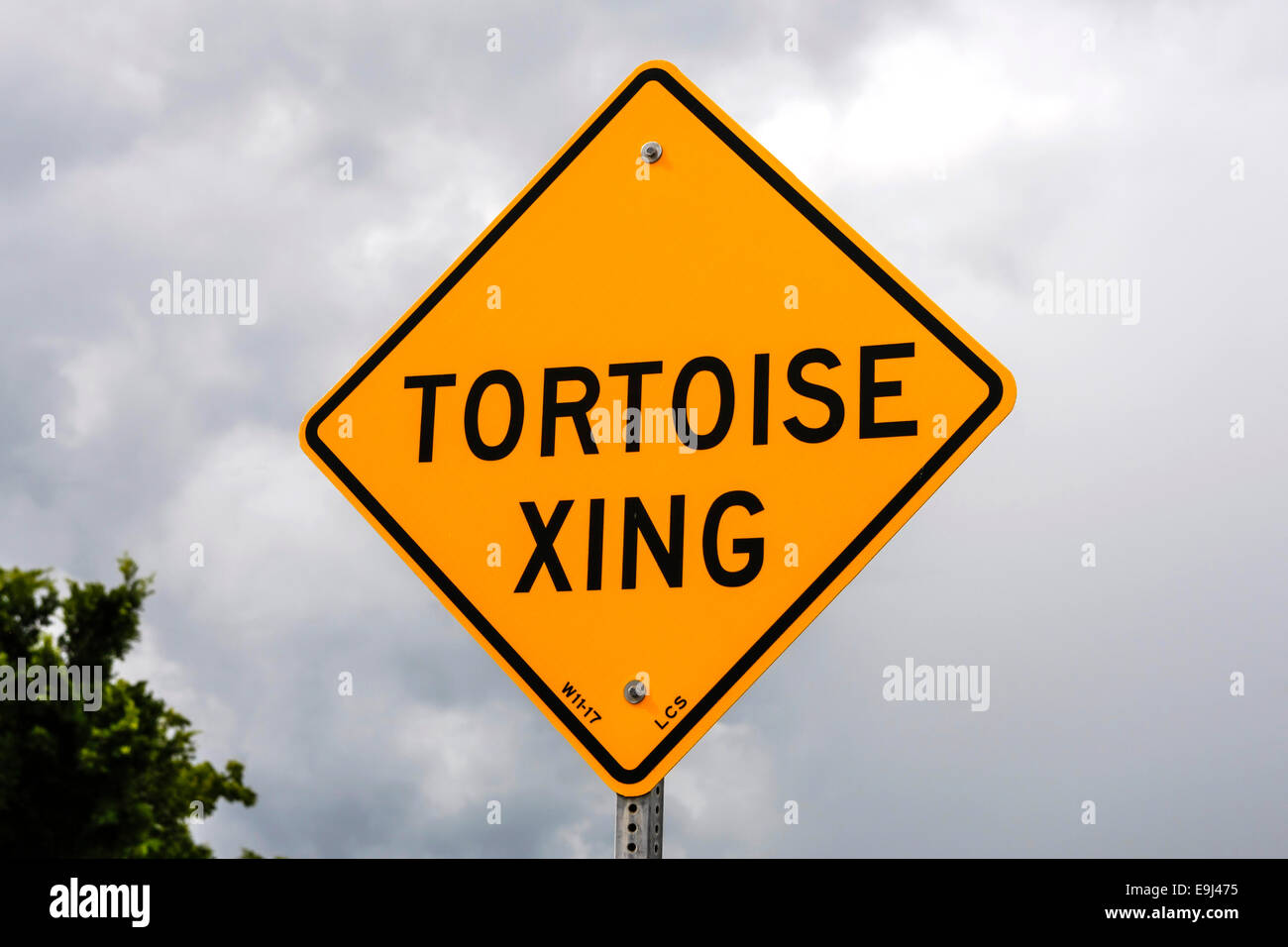 Tortoise warning road sign hi-res stock photography and images - Alamy