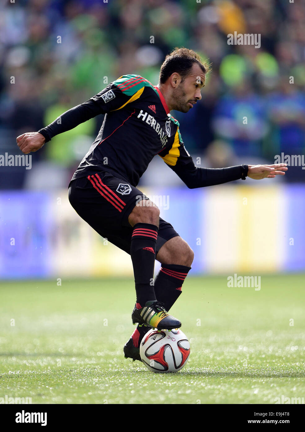 Los angeles fc supporters hi-res stock photography and images - Alamy