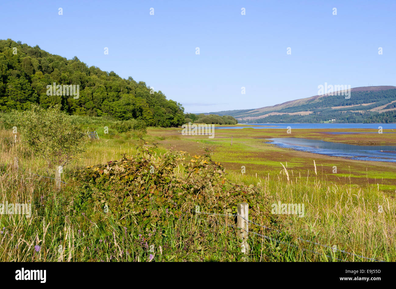 Wetland site scotland hi-res stock photography and images - Alamy
