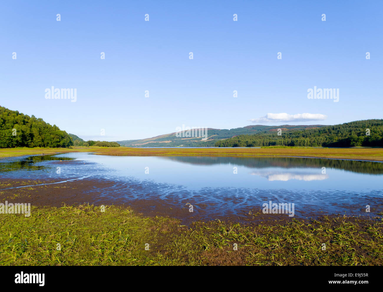 Wetland site scotland hi-res stock photography and images - Alamy
