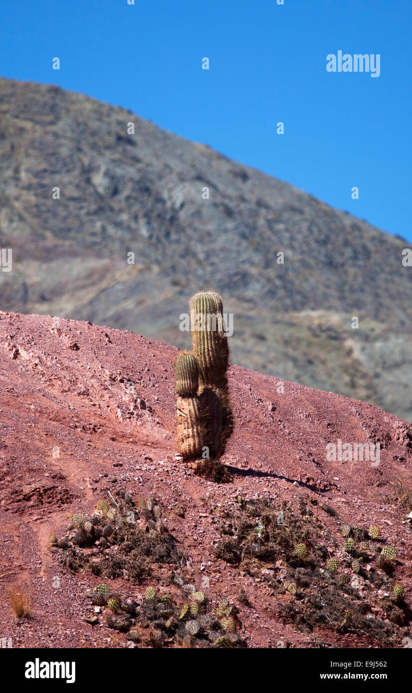 Piedras de piedras de colores hi-res stock photography and images - Alamy