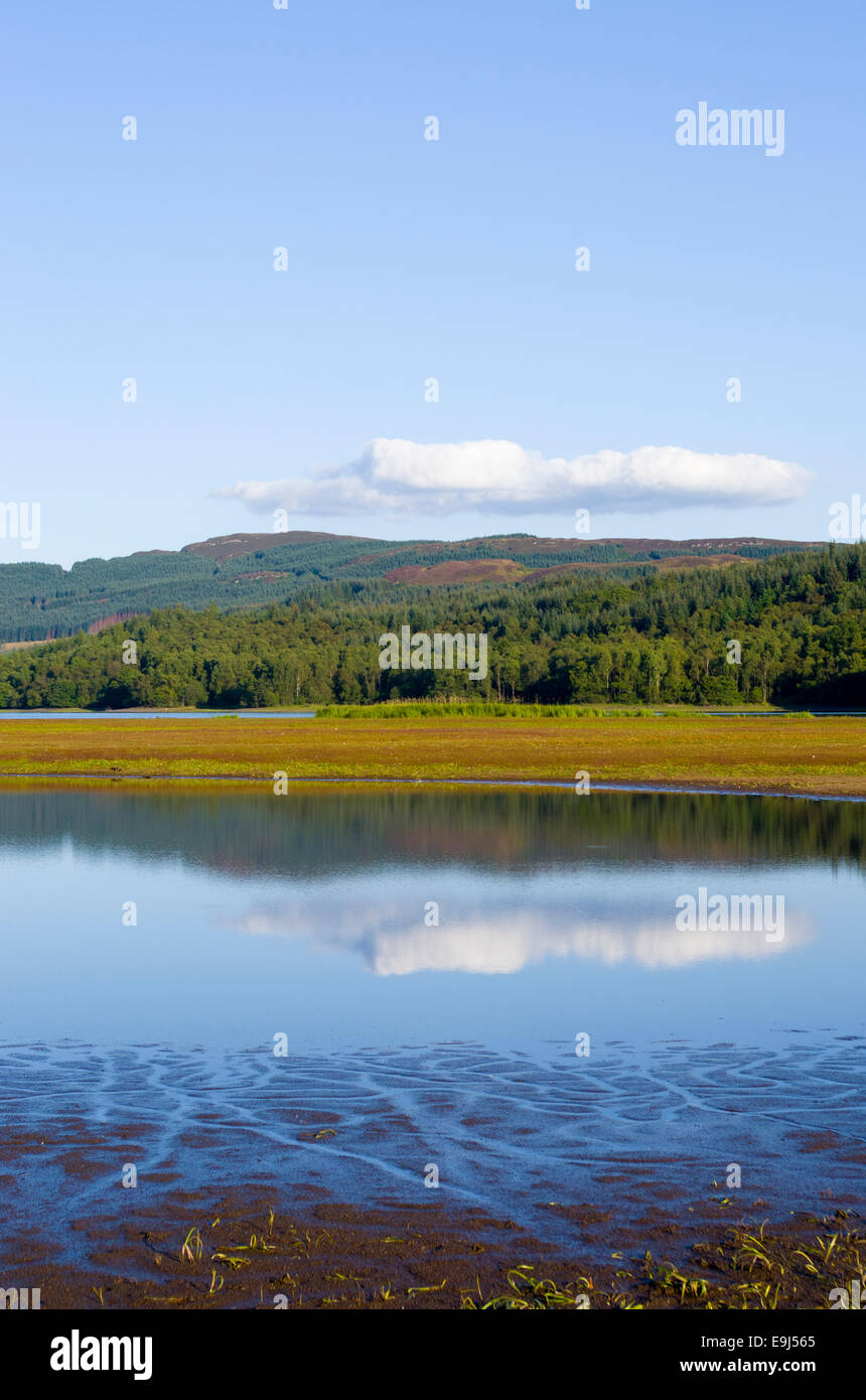 Black Water Marshes, Trossachs, Stirlingshire, Scotland, UK Stock Photo ...