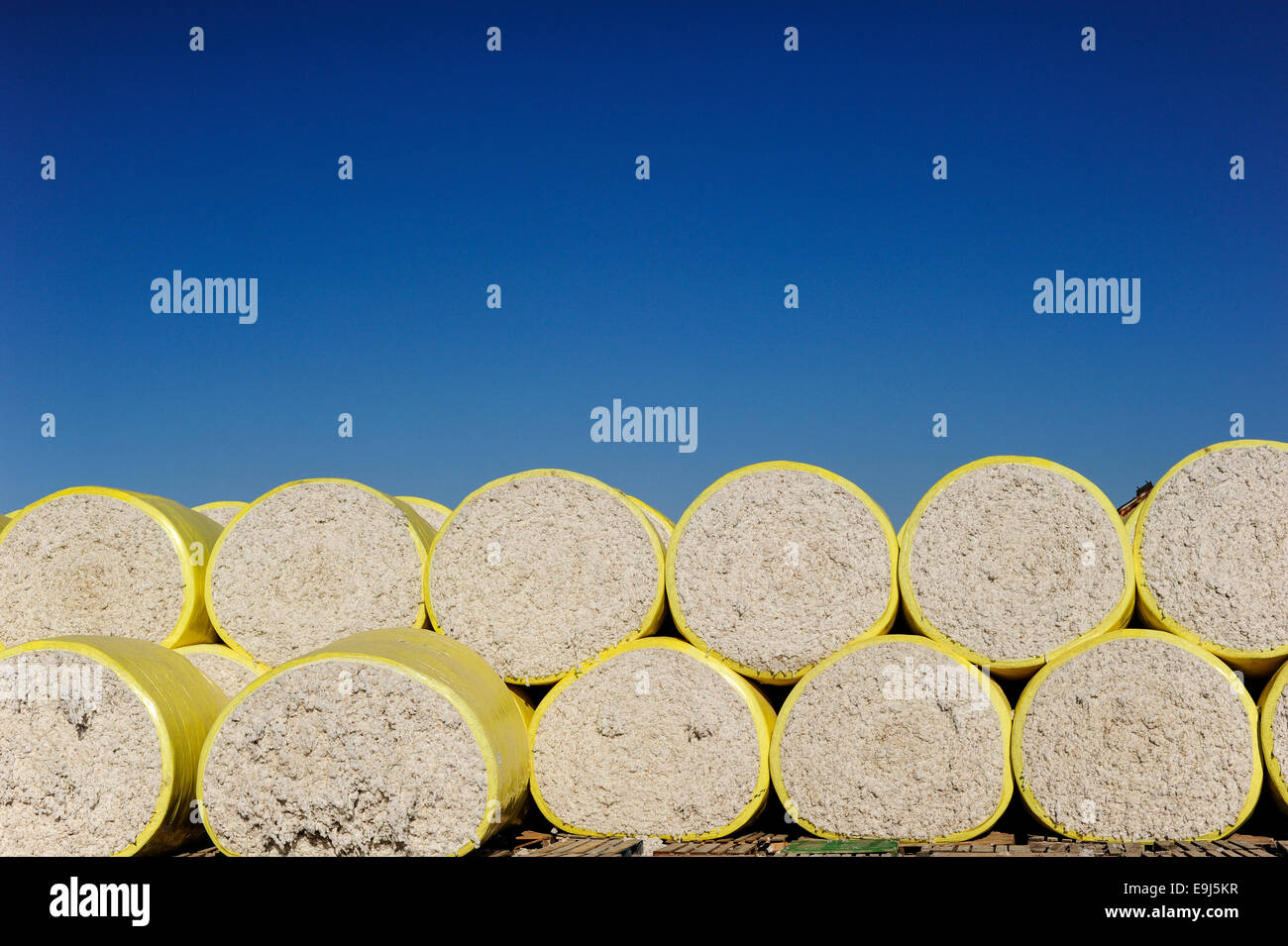 TURKEY, Menemen, harvest of conventional cotton with John Deere cotton ...