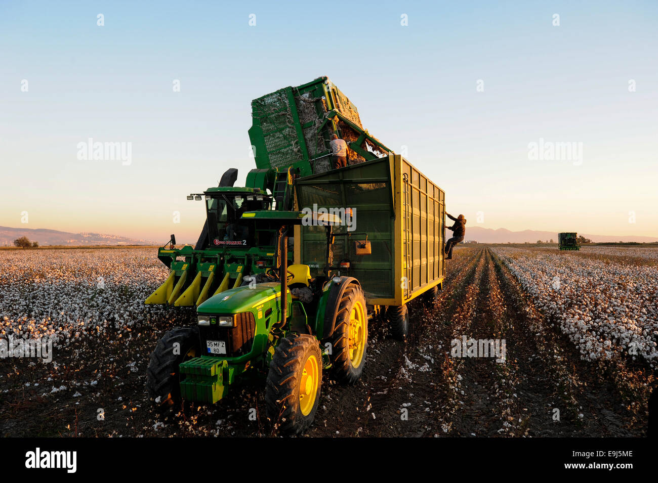 TURKEY, Menemen, harvest of conventional cotton with John Deere cotton ...