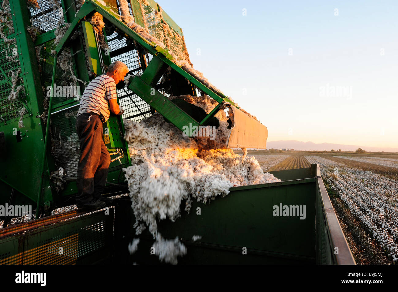 John deere cotton harvesting machine hi-res stock photography and ...