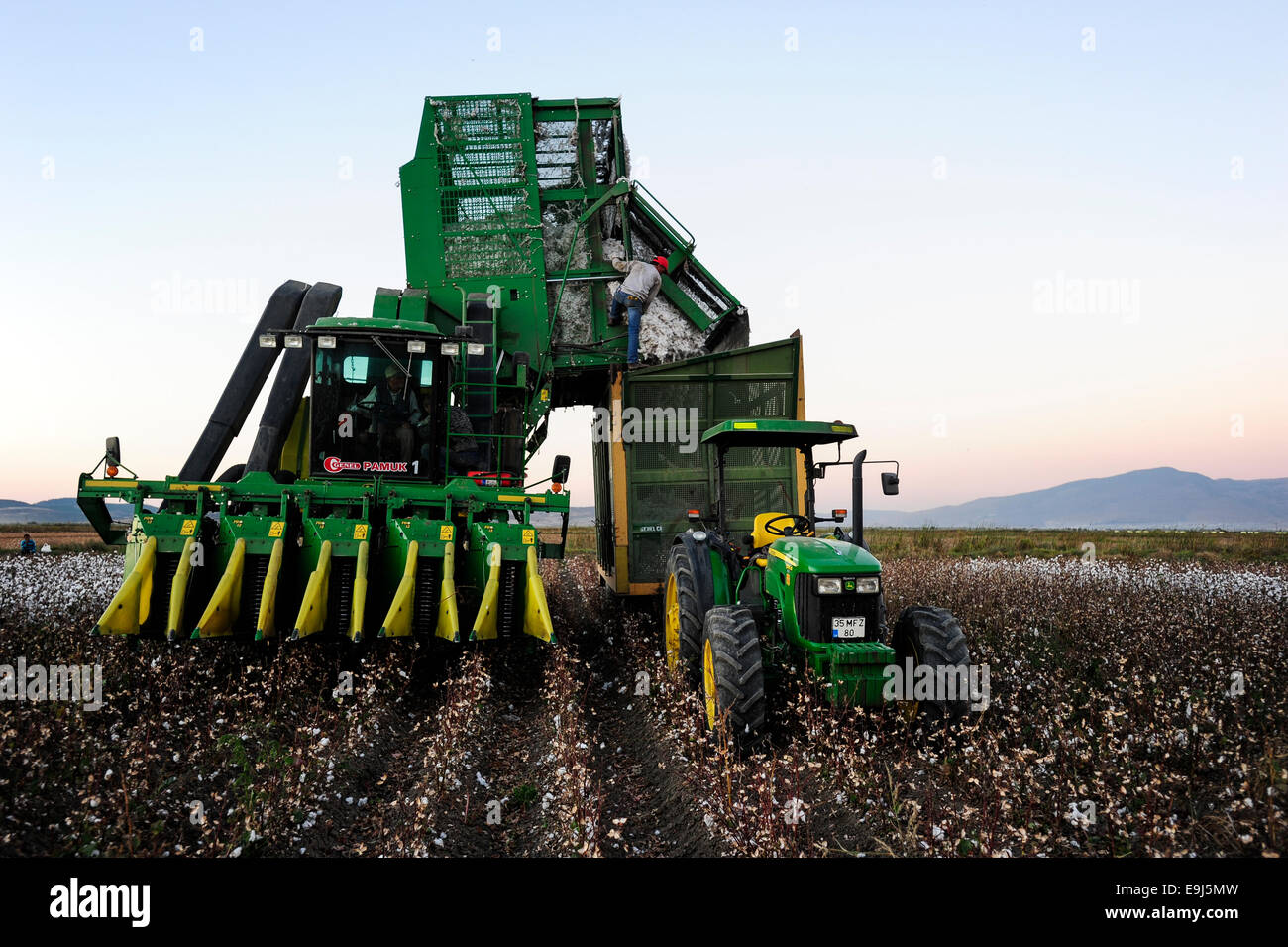 TURKEY, Menemen, harvest of conventional cotton with John Deere cotton ...
