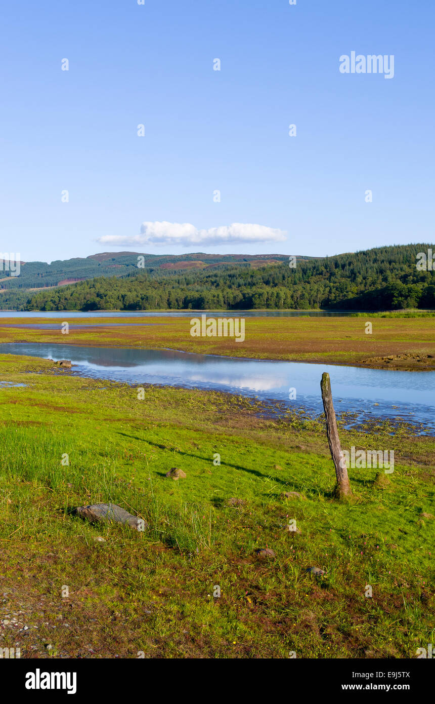 The queen of the fens hi-res stock photography and images - Alamy