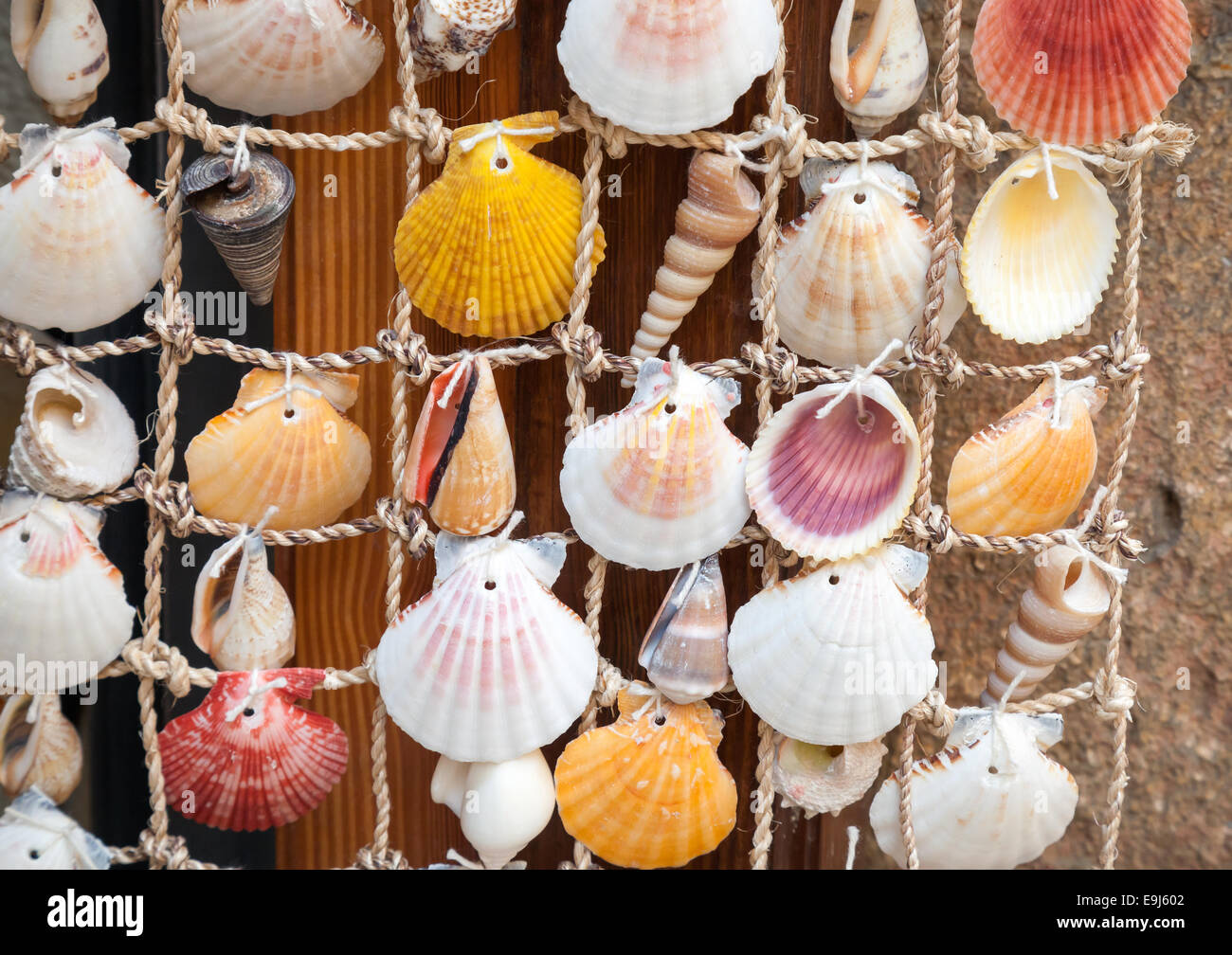 Hanging shells hi-res stock photography and images - Alamy