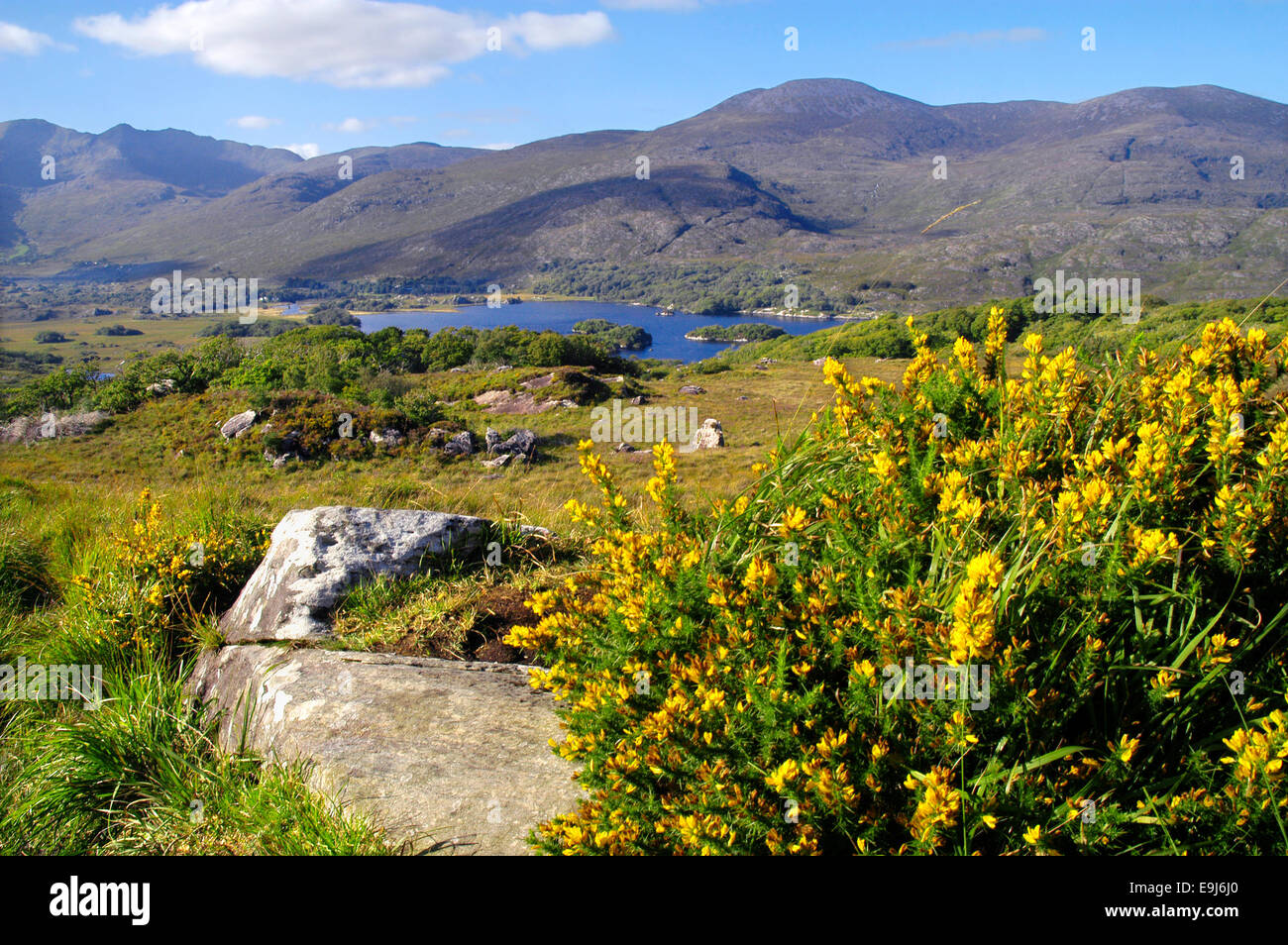 Ireland: Spectacular landscape taken in the Killarney National Park in ...