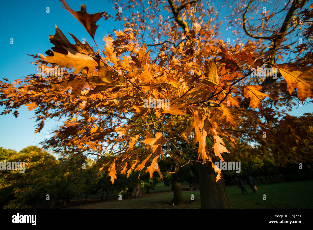 Attracting people hi-res stock photography and images - Alamy