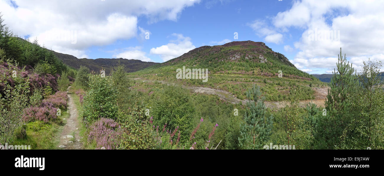 Creag Gobhlach Hill, Stank Glen, Strathyre Forest, Trossachs ...