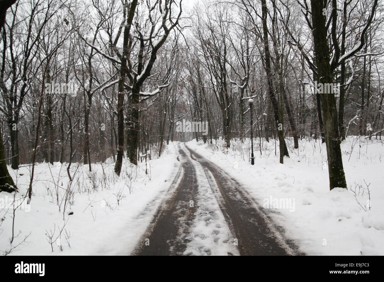Boschi di carrega hi-res stock photography and images - Alamy