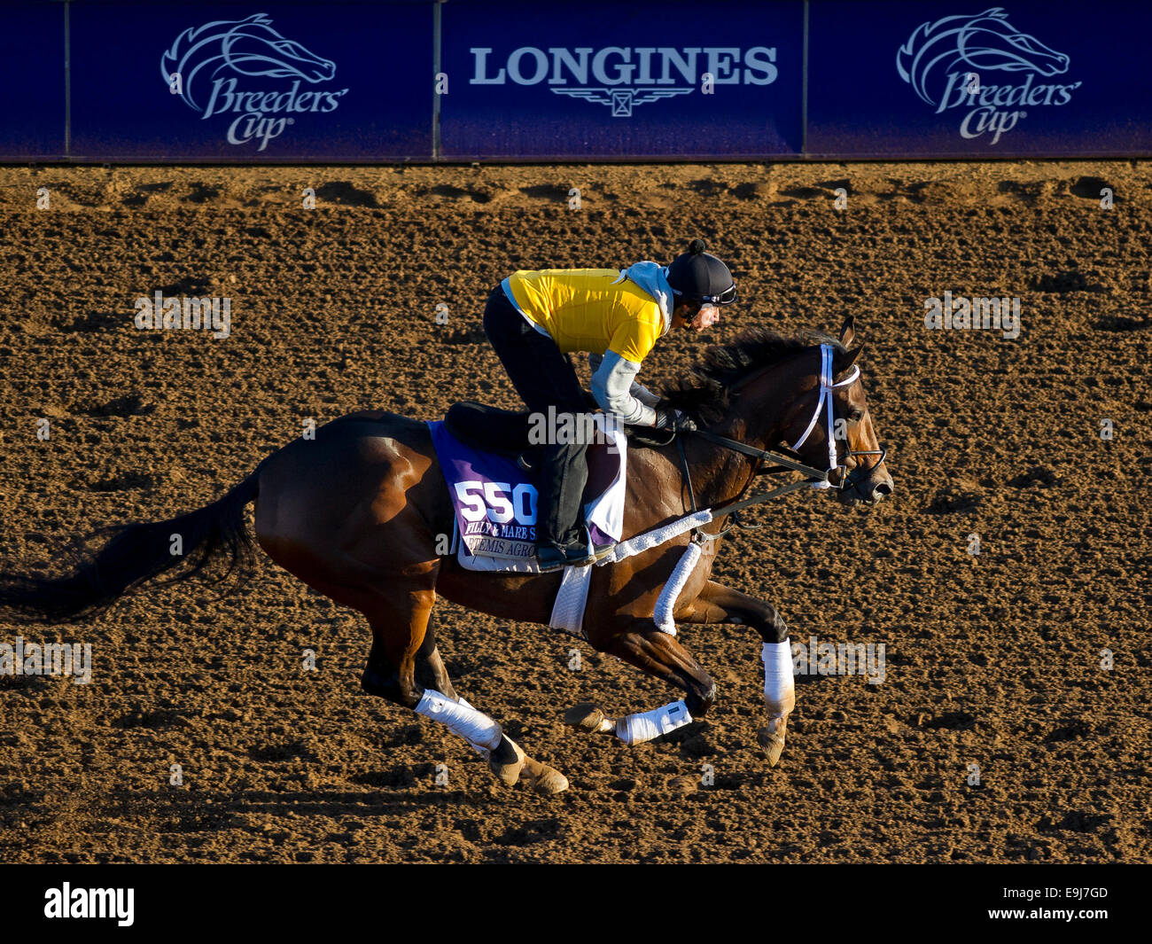 Arcadia, CA, USA. 28th Oct, 2014. Credit: Cal Sport Media/Alamy Live ...