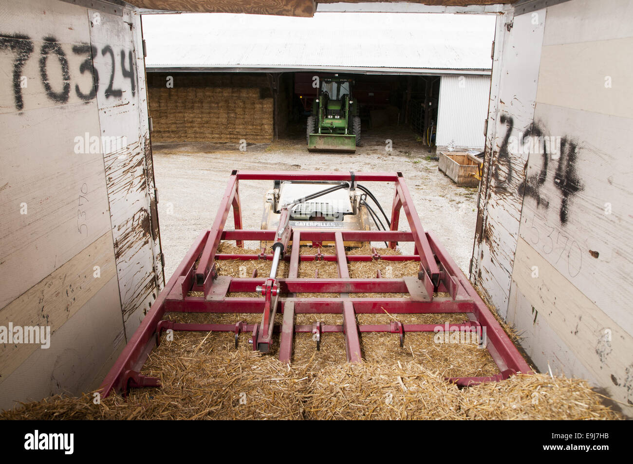 Inside of a semi trailer looking out as bales of hay are loaded Stock ...