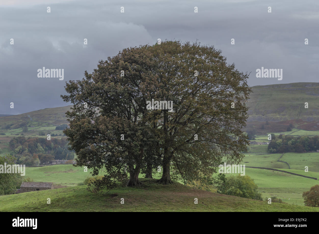 What to see in hawes hi-res stock photography and images - Alamy