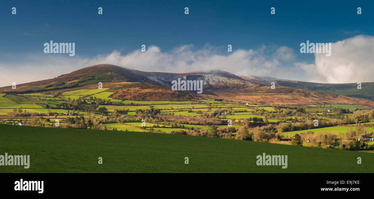 Winter landscape looking towards the Blackstairs Mountains from outside ...