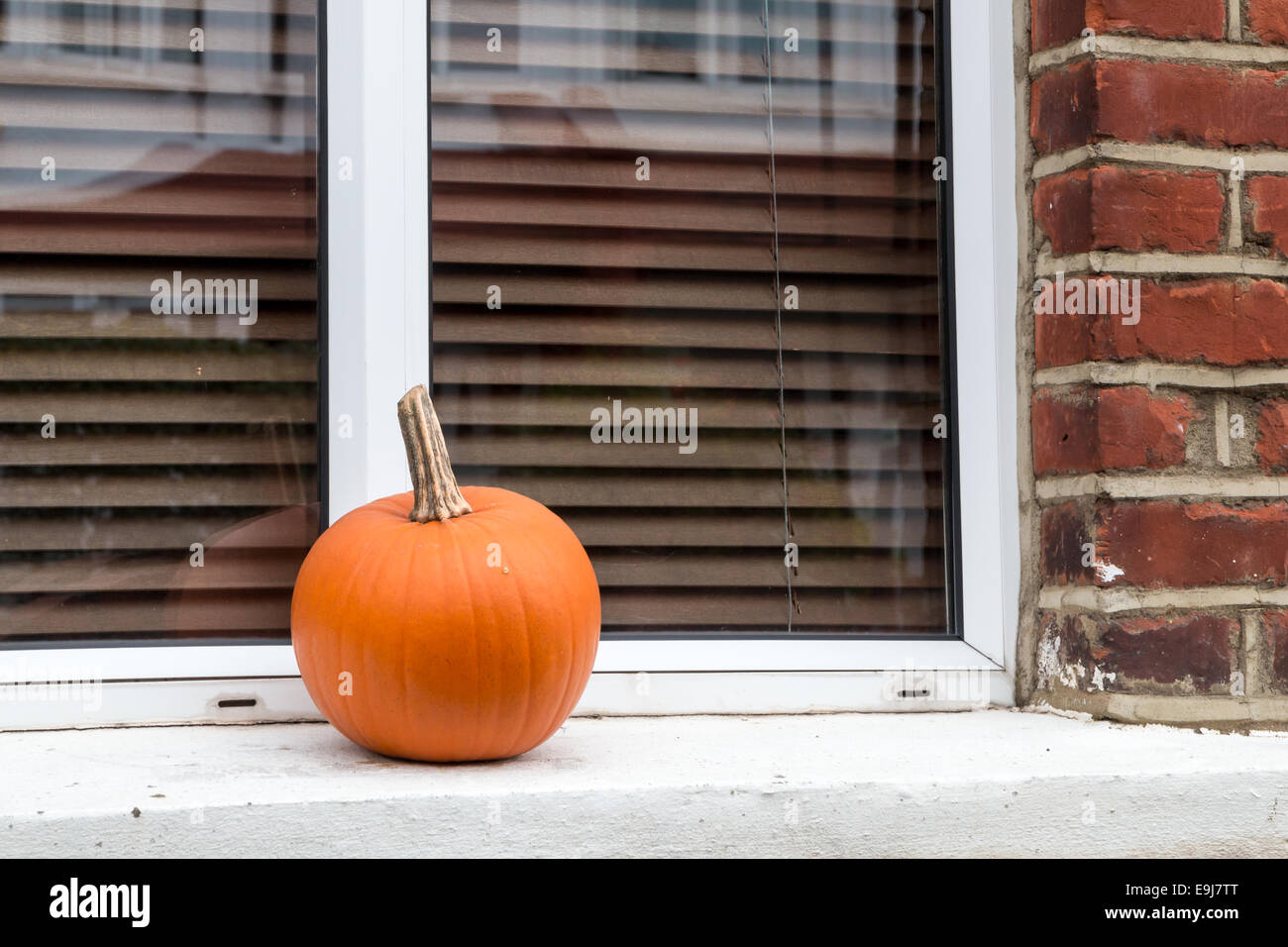 Pumpkin on a window sill Stock Photo - Alamy