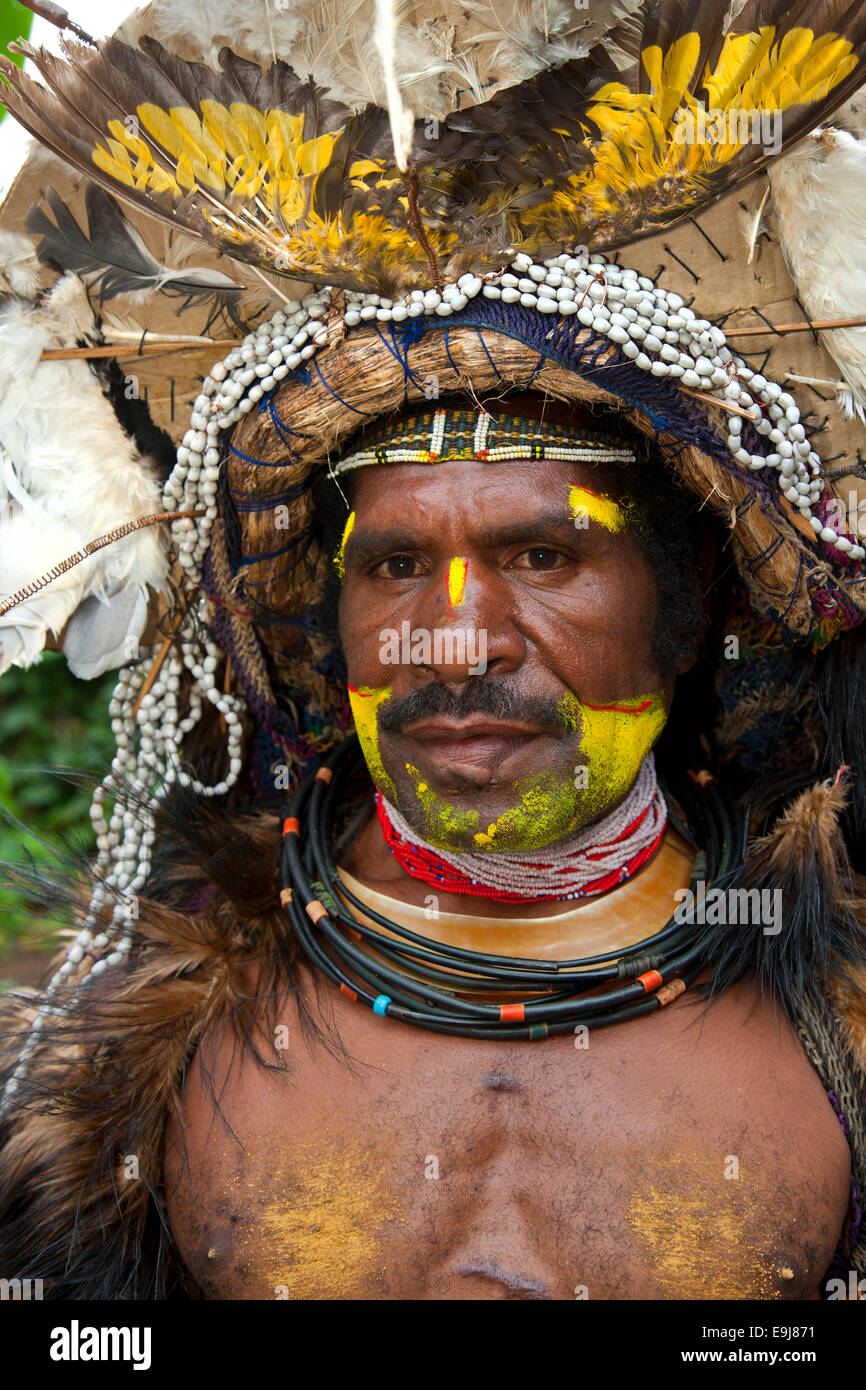 Birds of paradise papua new guinea hi-res stock photography and images ...