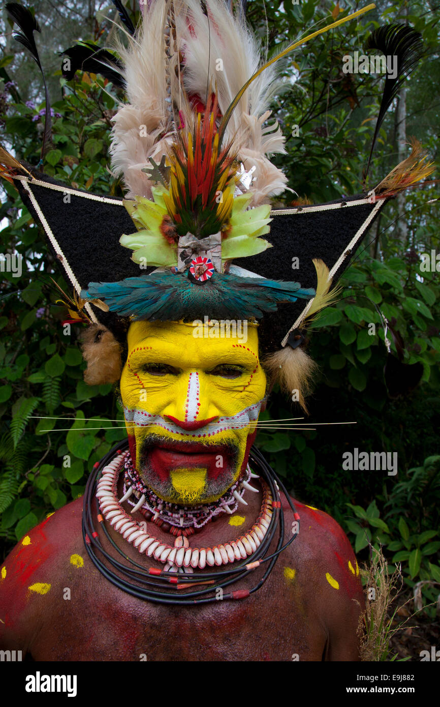 A Huli Wigmen of Papua New Guinea with his headdress made of Hair and ...