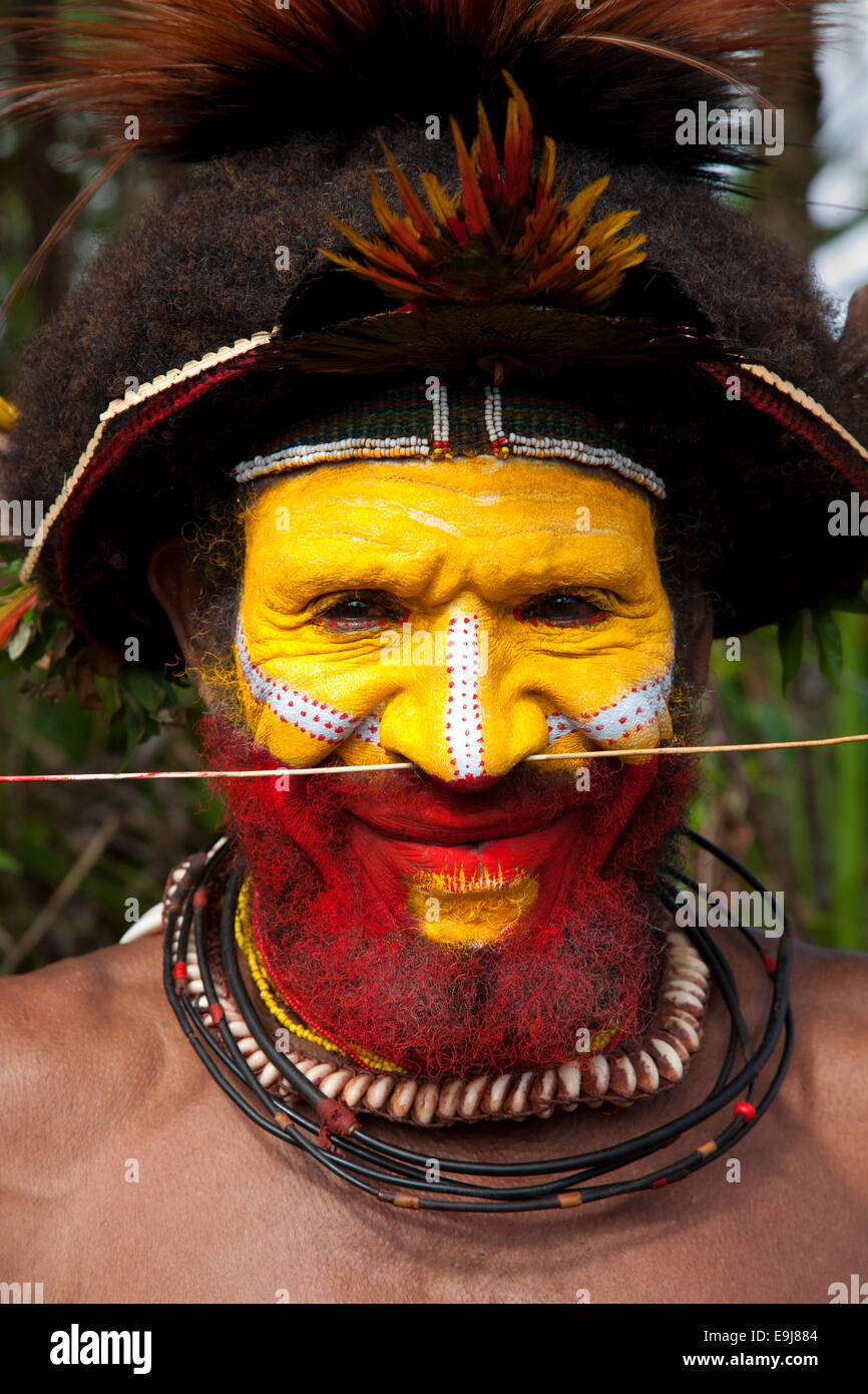 A Huli Wigmen of Papua New Guinea with his headdress made of Hair and ...