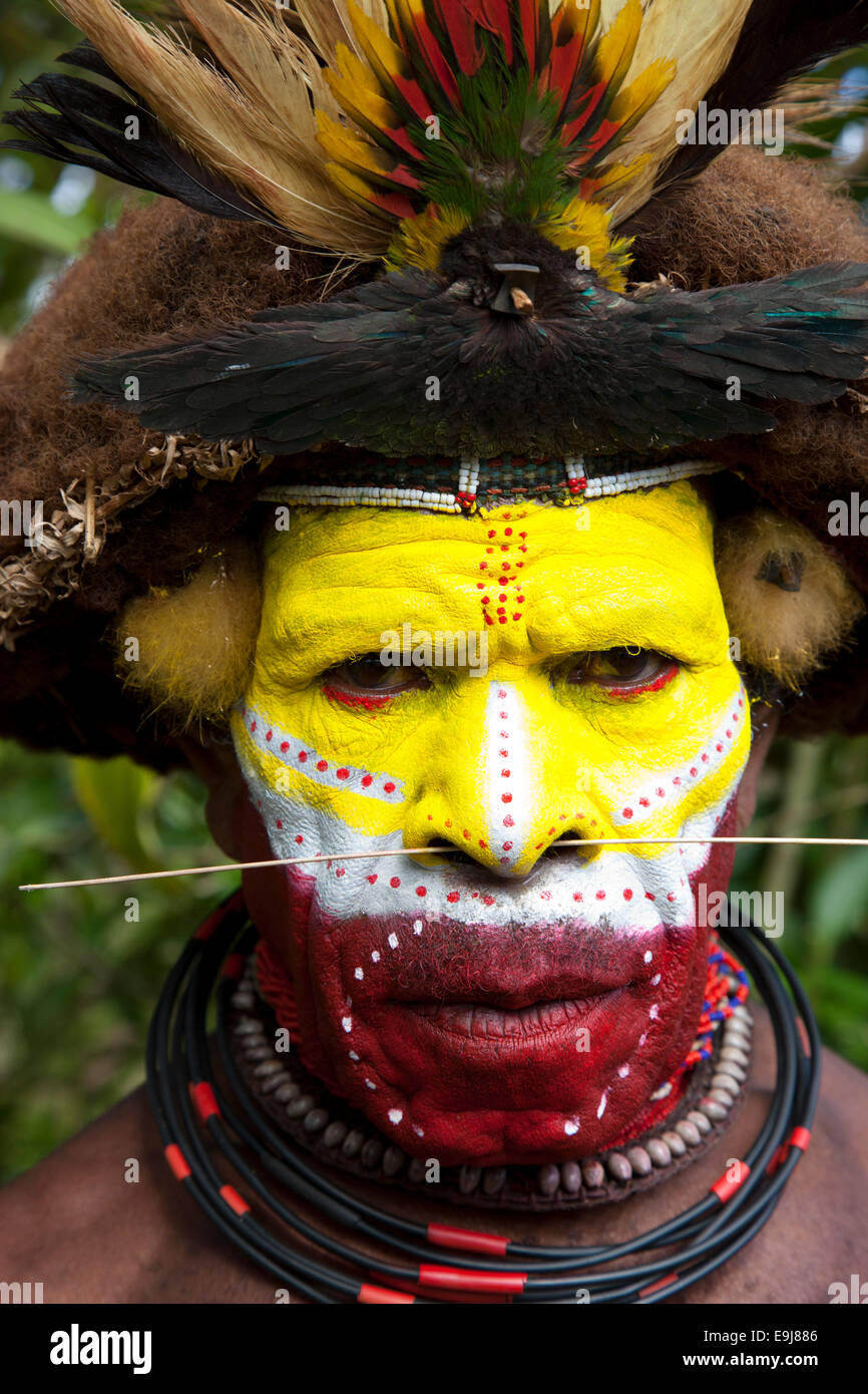 Huli Tribe High Resolution Stock Photography and Images - Alamy
