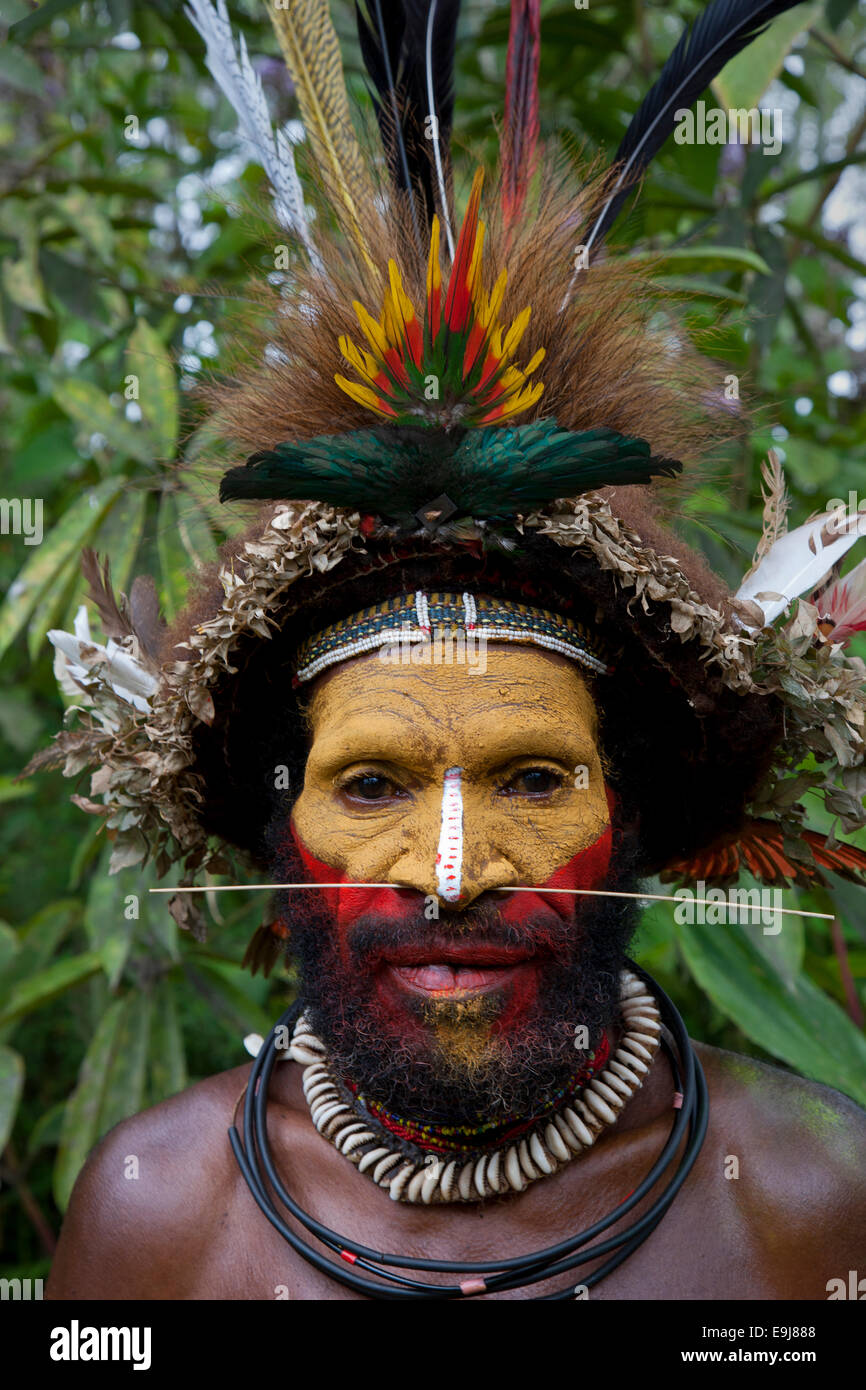 A Huli Wigmen of Papua New Guinea with his headdress made of Hair and ...