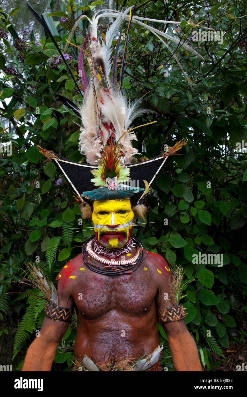 Huli tribe hi-res stock photography and images - Alamy