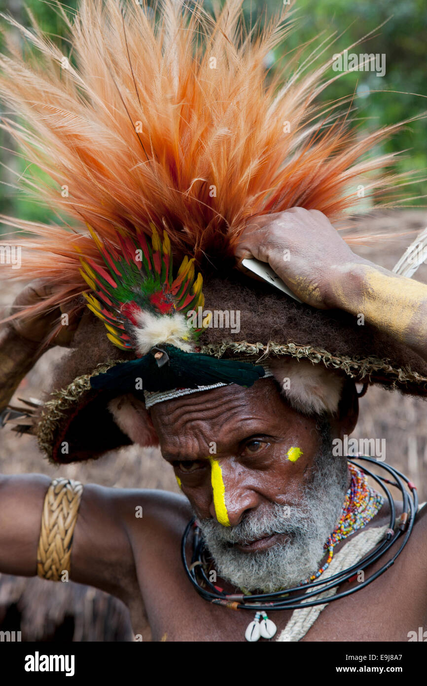 A Huli Wigman Reconstructs his Wig, Papua New Guinea Stock Photo - Alamy