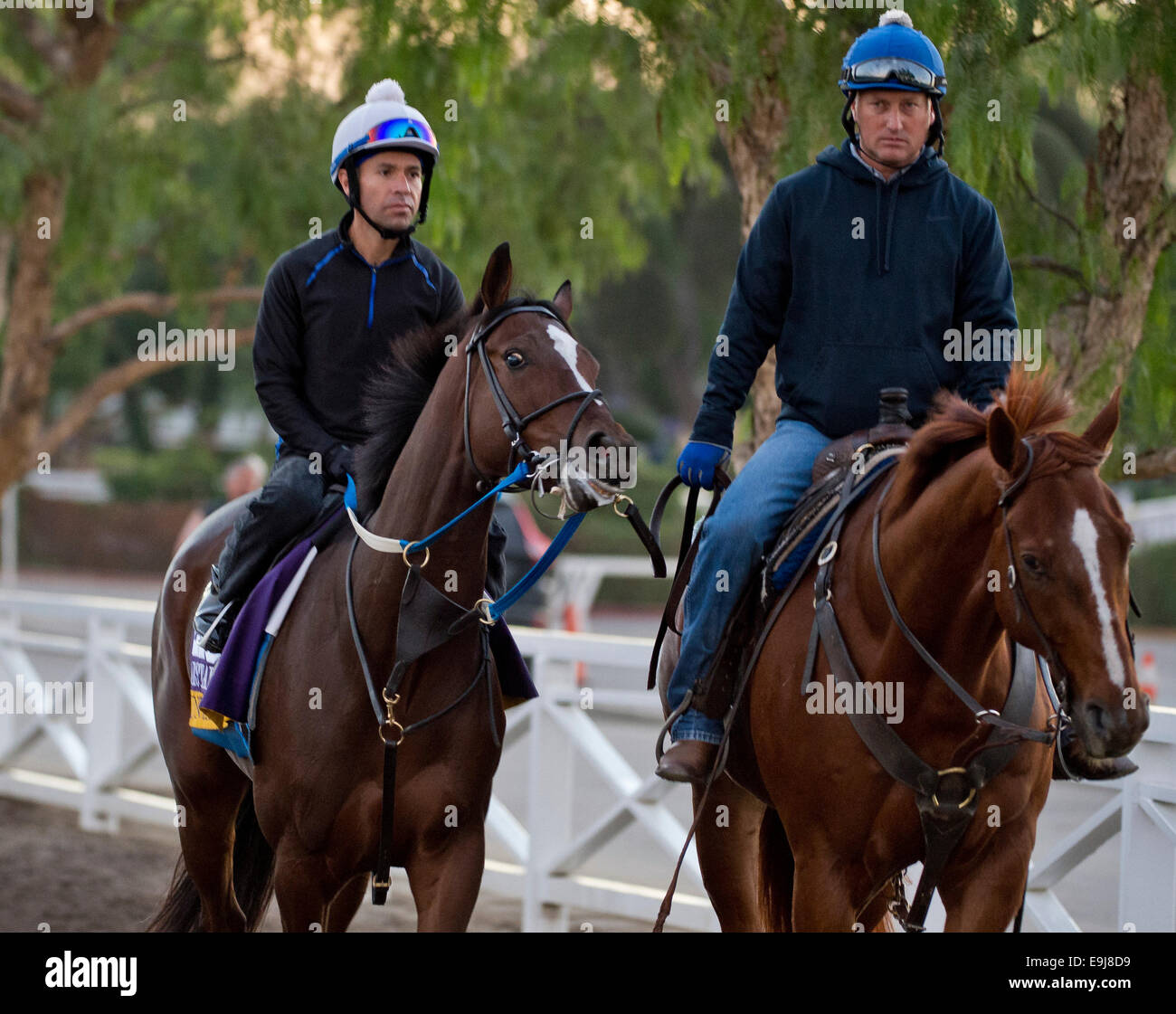 Arcadia, CA, USA. 28th Oct, 2014. October 28, 2014: Untapable, trained ...