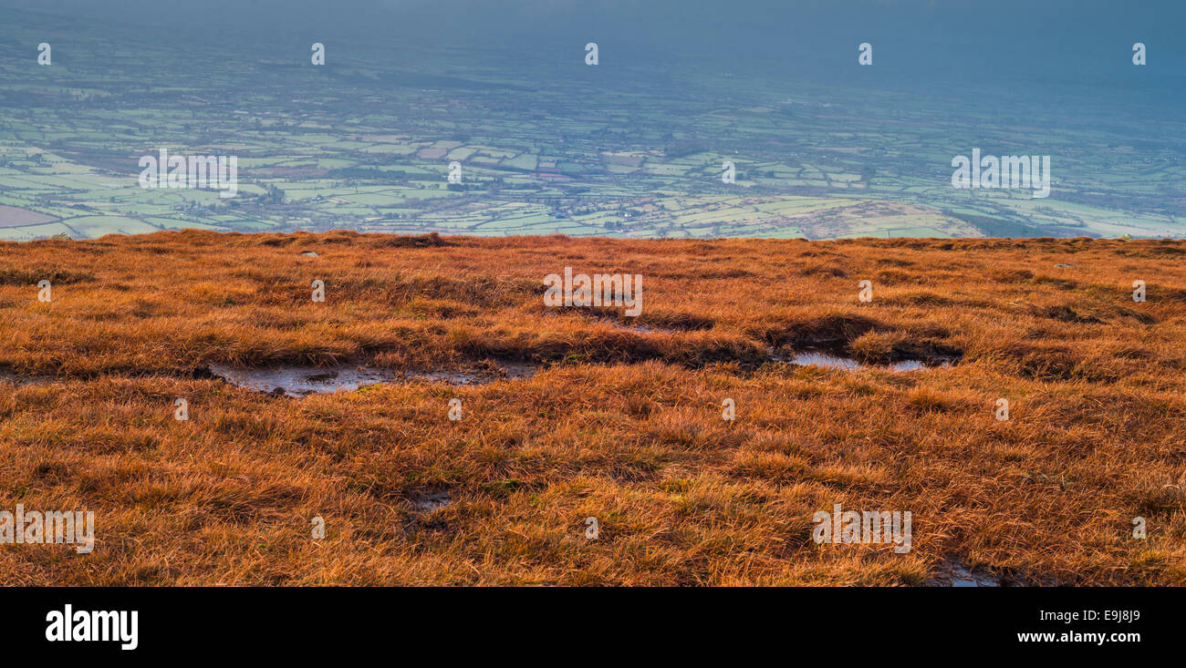 Blackstairs mountains hi-res stock photography and images - Alamy