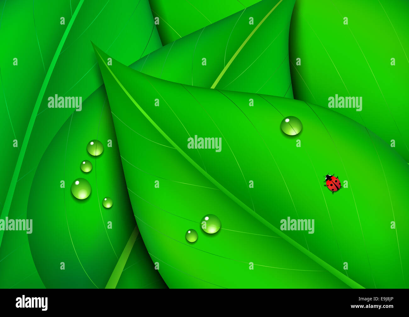 Green Leaf Design Environmental Background Stock Photo - Alamy