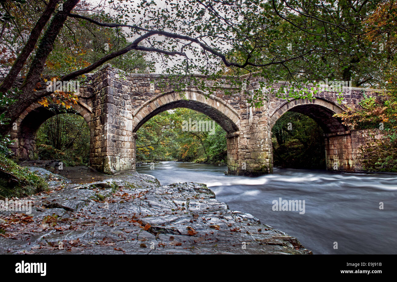 Newbridge or New Bridge is a Grade II listed medieval bridge over the ...