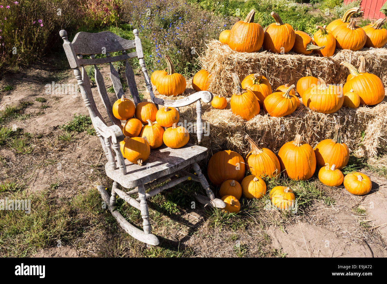 Rocking chair garden hi-res stock photography and images - Alamy