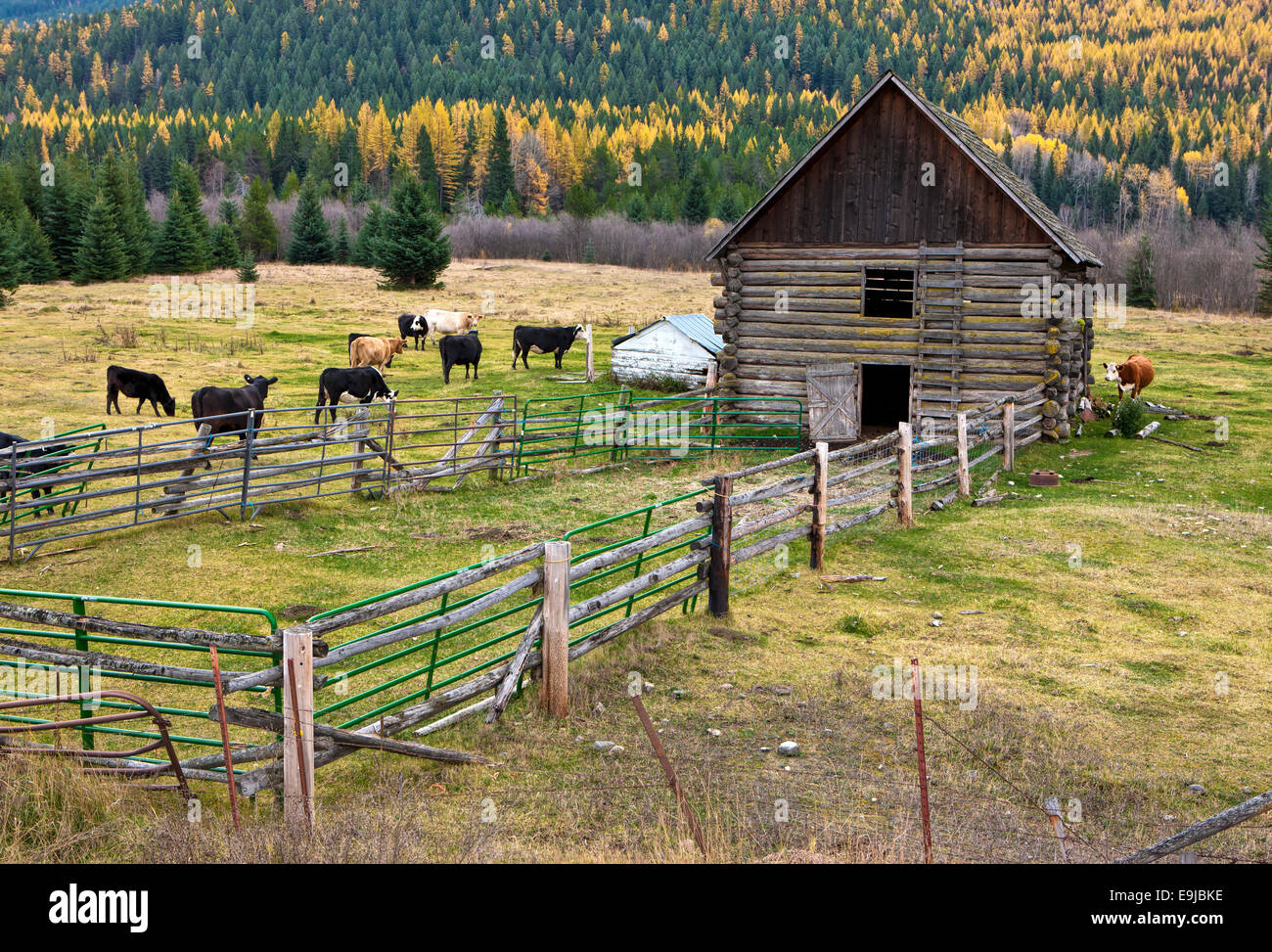Barnyard scenery hi-res stock photography and images - Alamy