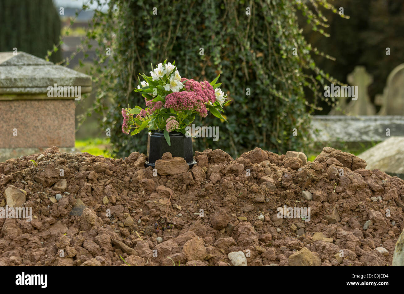 Dug grave hi-res stock photography and images - Alamy