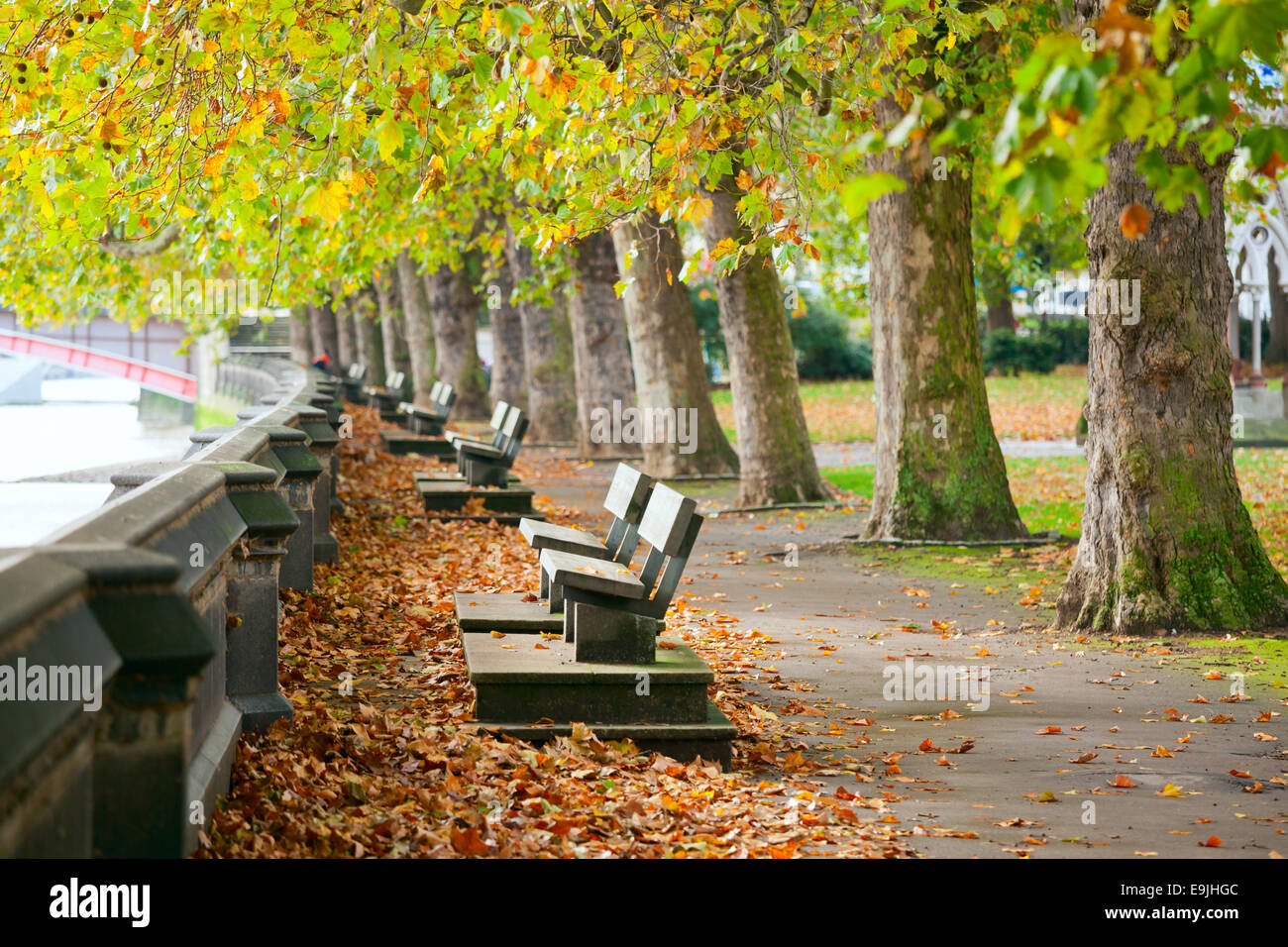 Benches on the Thames in Victoria Tower Gardens park in London Stock ...