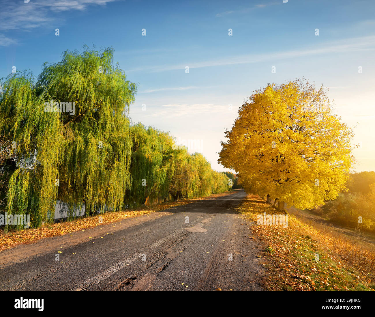 Sunny day road hi-res stock photography and images - Alamy