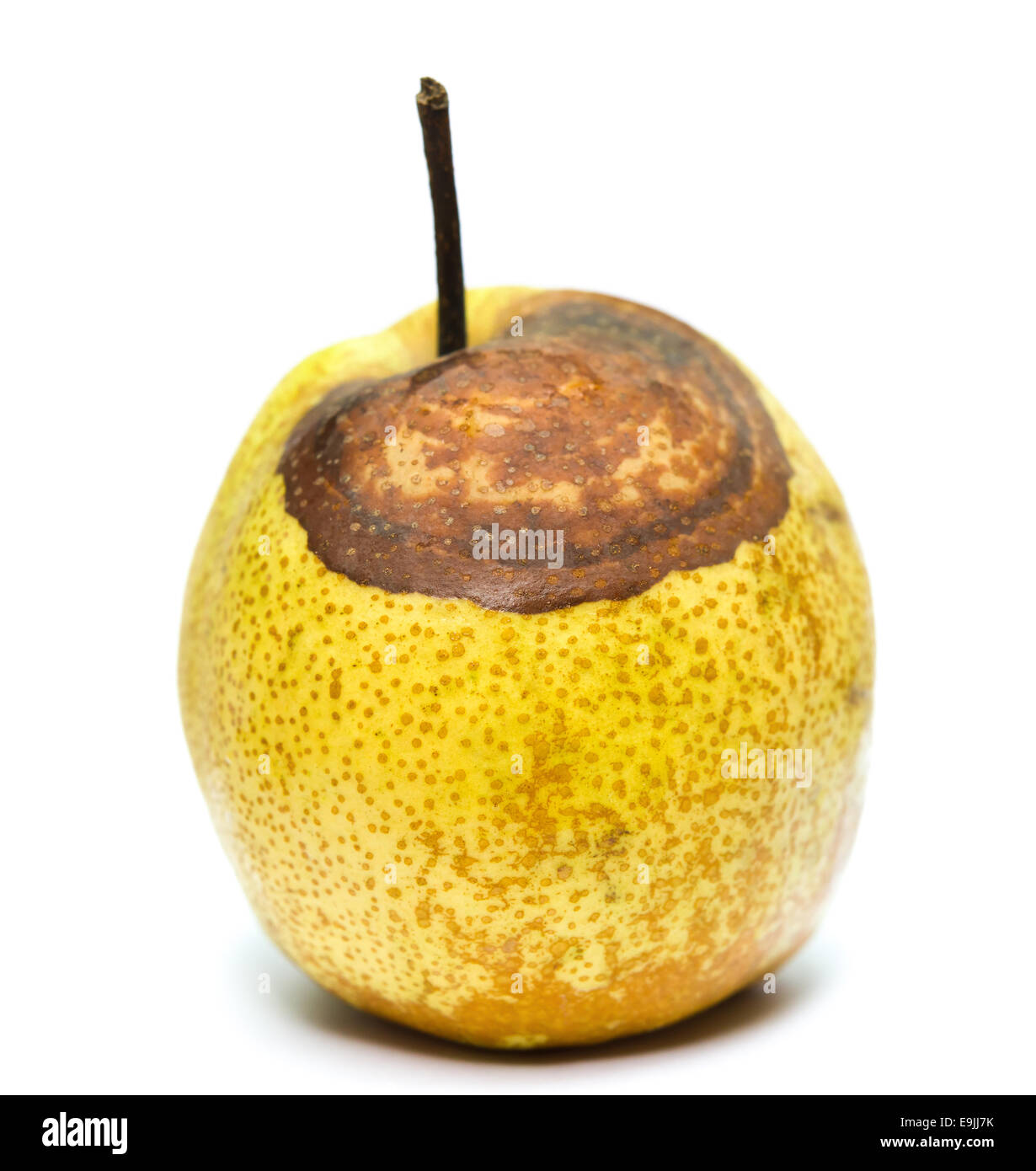 Rotten pear hi-res stock photography and images - Alamy