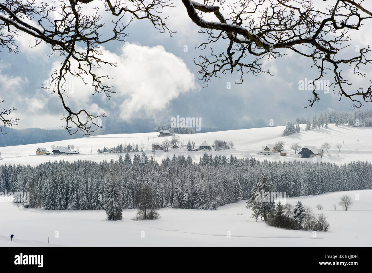 Snow-covered winter landscape, Breitnau, Black Forest, Baden ...