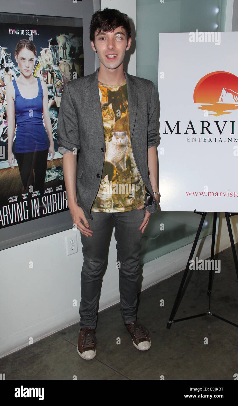 Marvista Entertainment presents 'Starving in Suburbia' Advance Premiere - Arrivals Featuring ...