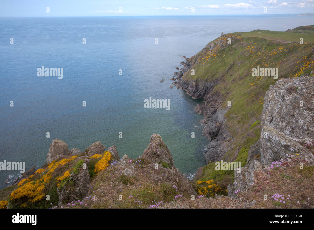 Devon seashore hi-res stock photography and images - Alamy